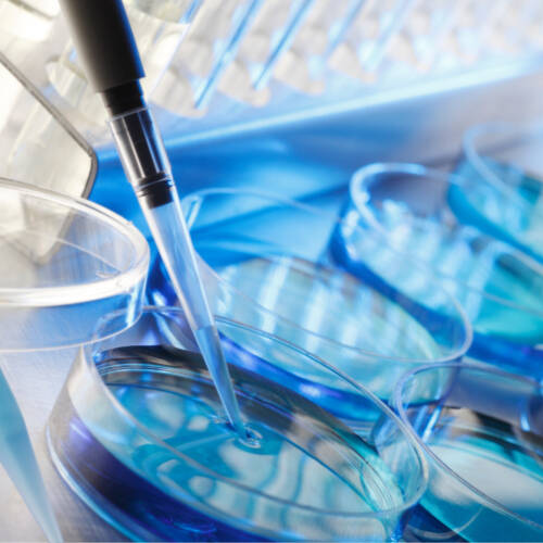 Biomedical Sciences - Grand Valley State University